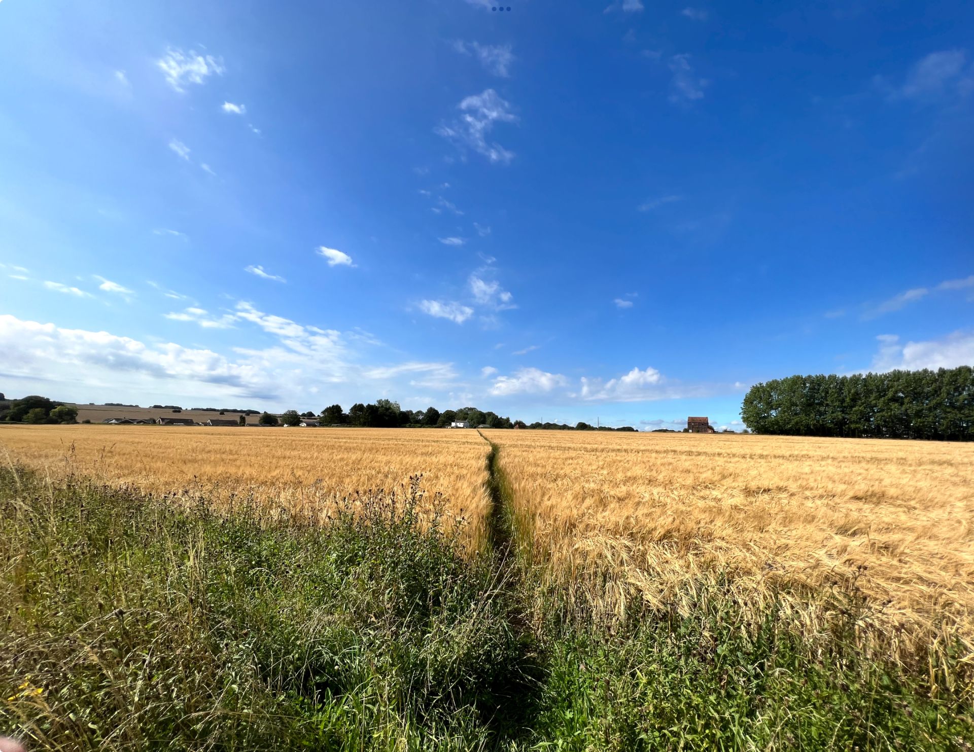 Great Tows - Ramblers