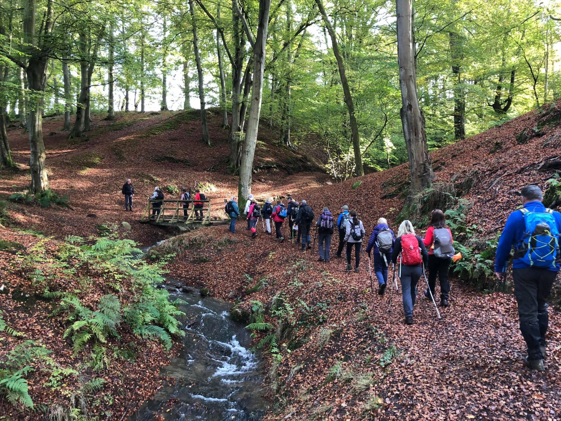 Perth Circular via Quarrymill Wood Park, Den of Scone, Deuchny Wood ...