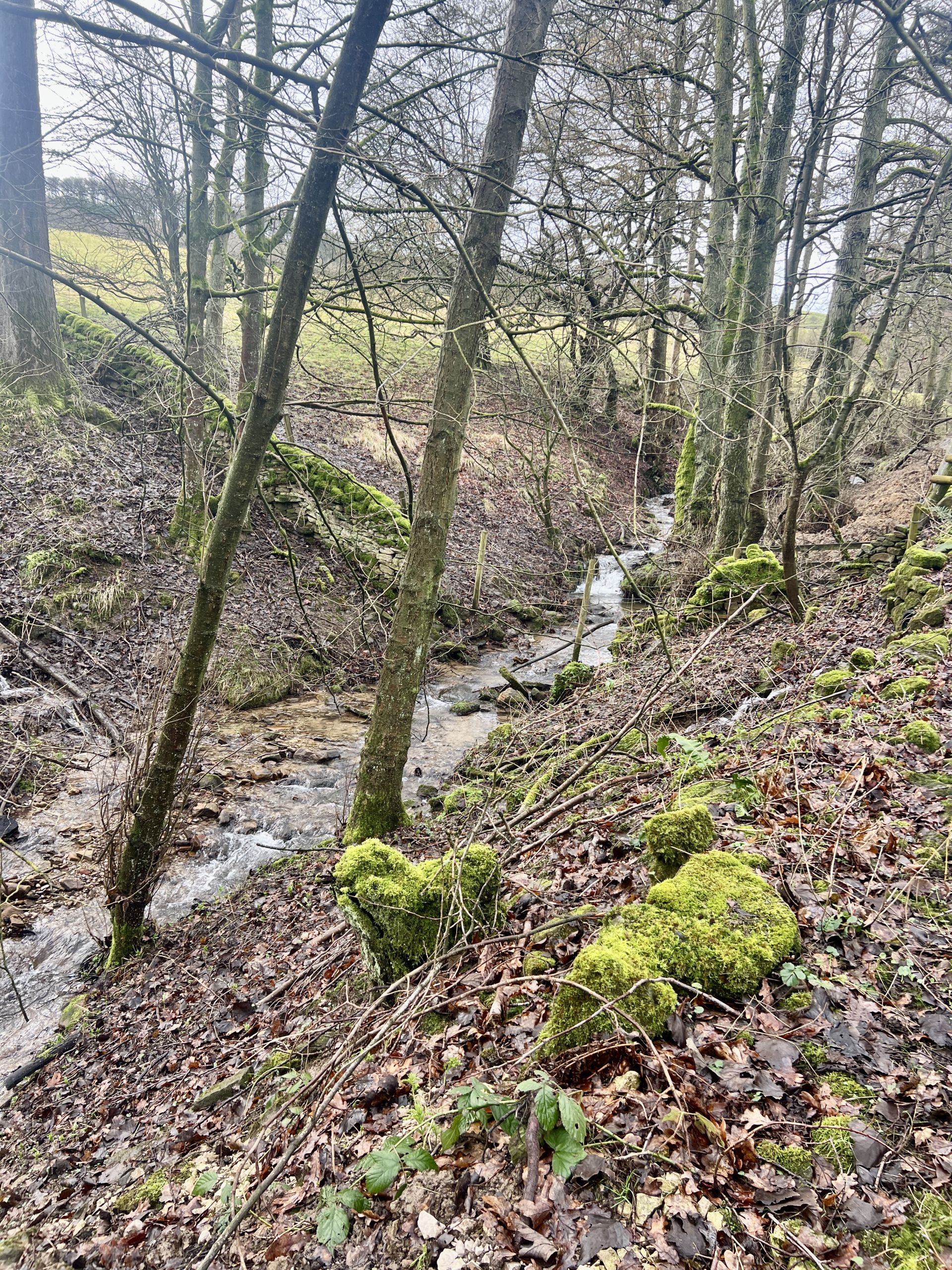 COACH WALK TO ROWSLEY, DERBYS. - Ramblers