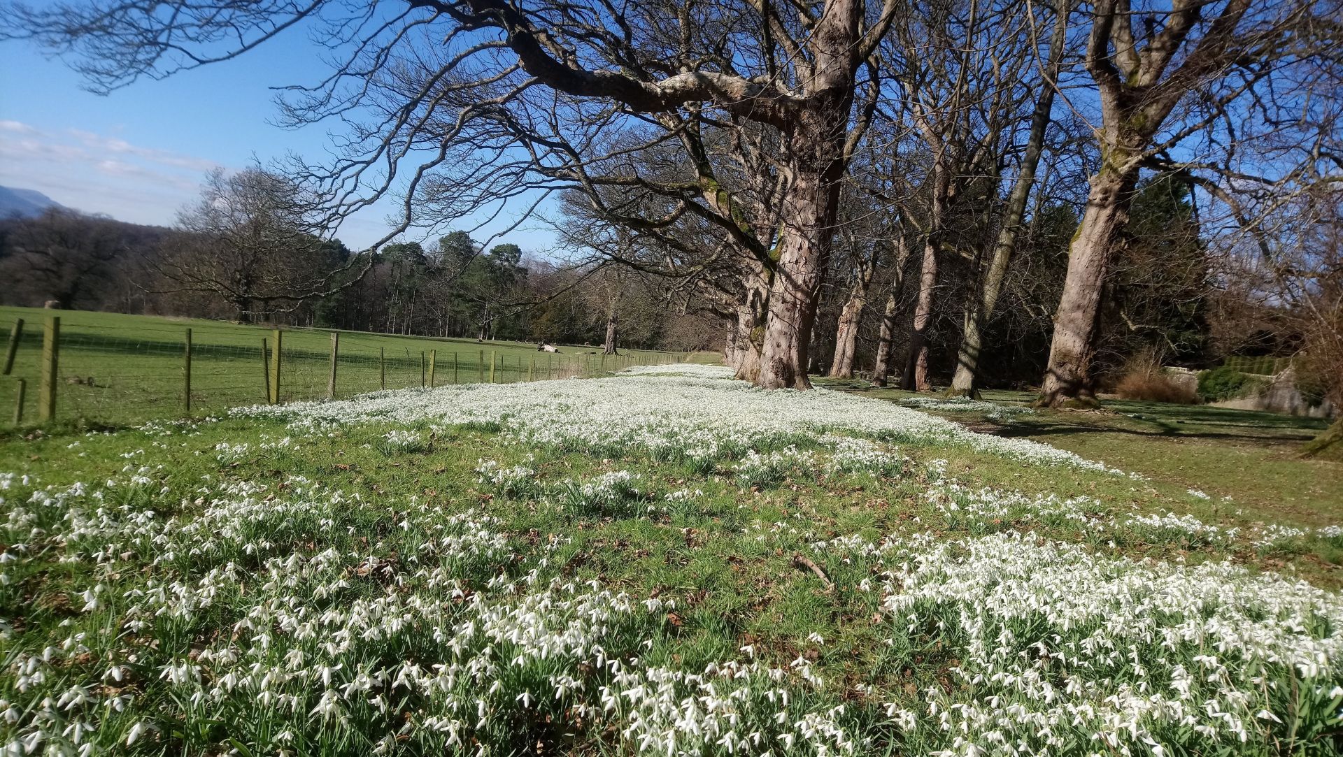 Keir Estate - Historic homelands of the founder of the SAS - Ramblers