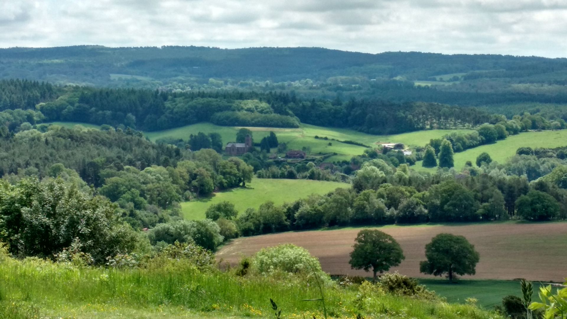 Newlands Corner and the Chantries - Ramblers