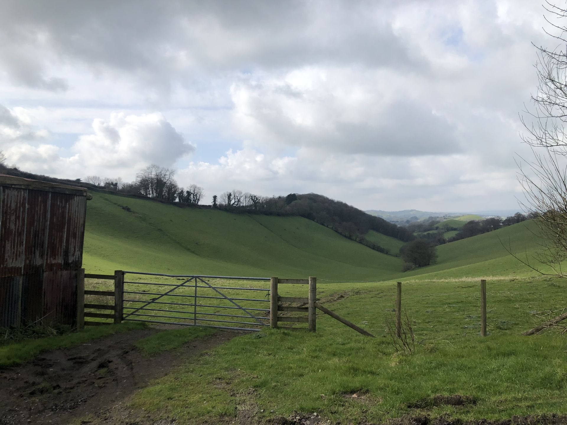 EXPLORE EAST OF CODDEN HILL - Ramblers