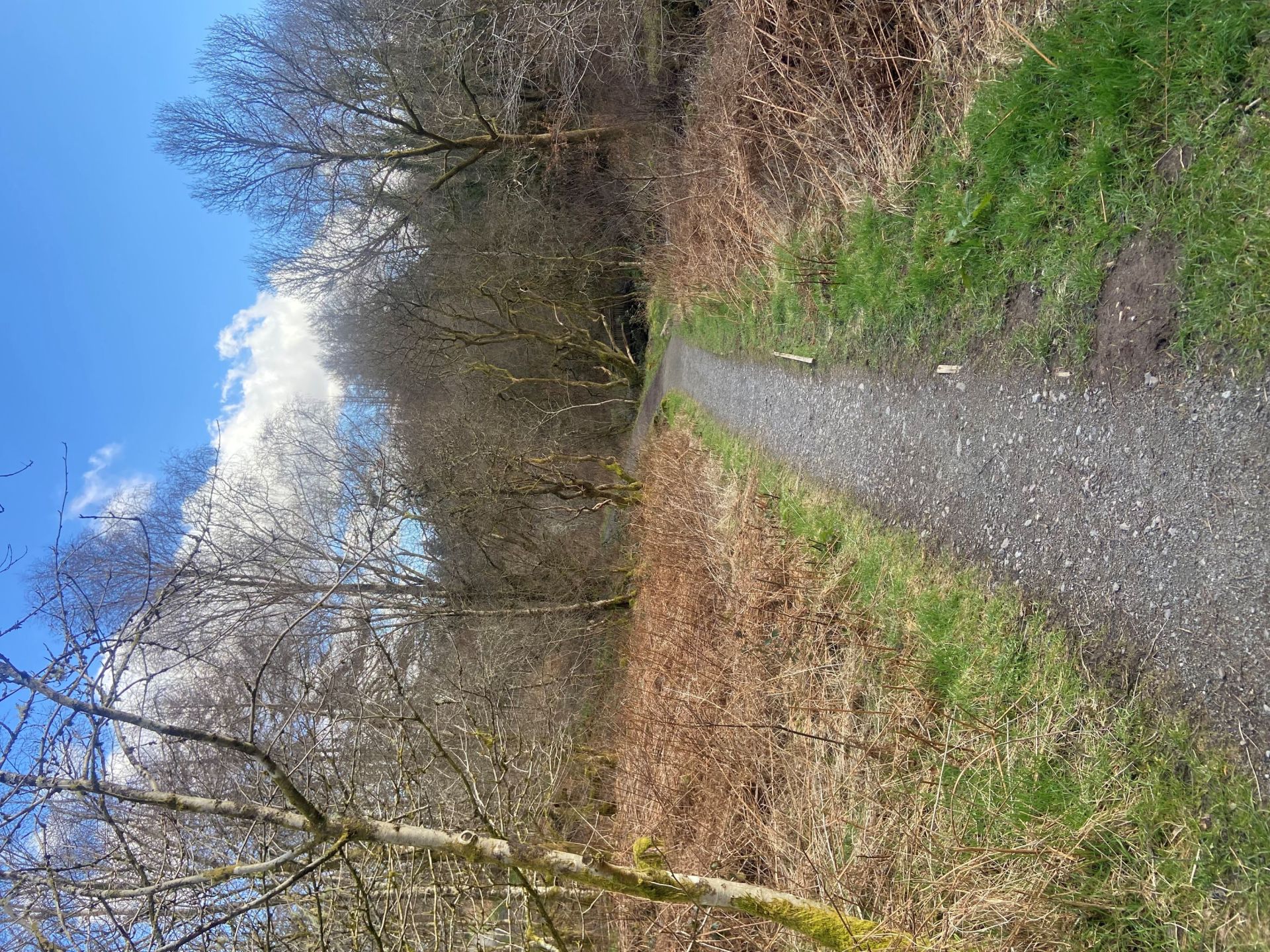 Garwnant Circular - Ramblers