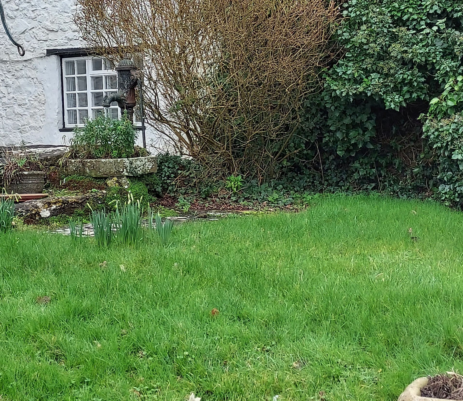 Bleadon area, this walk needs to be booked with the leader. - Ramblers