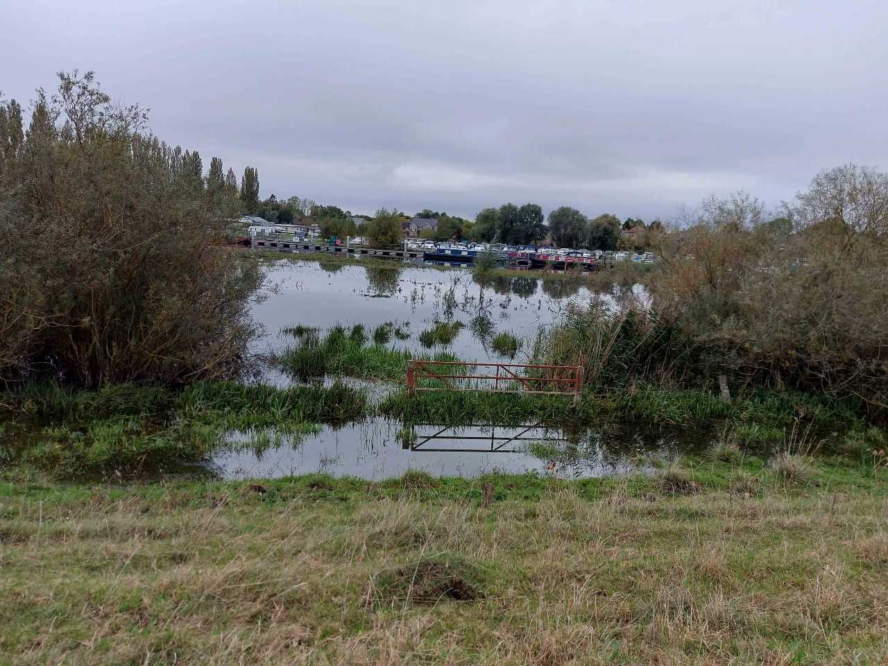 Earith Bridge and Ouse Fen Nature Reserve - Ramblers