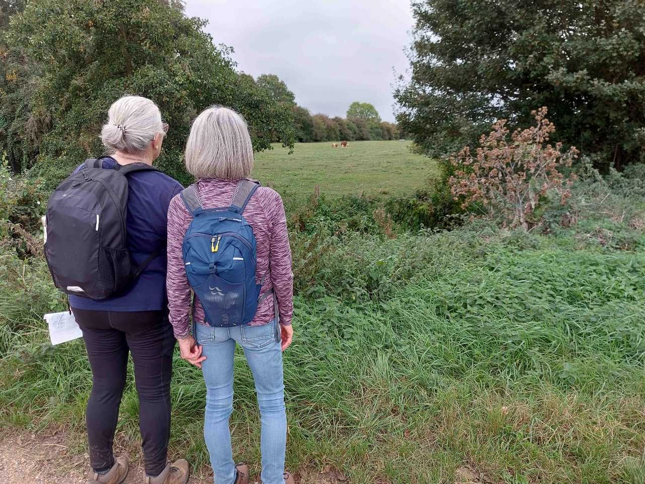 Earith Bridge and Ouse Fen Nature Reserve - Ramblers