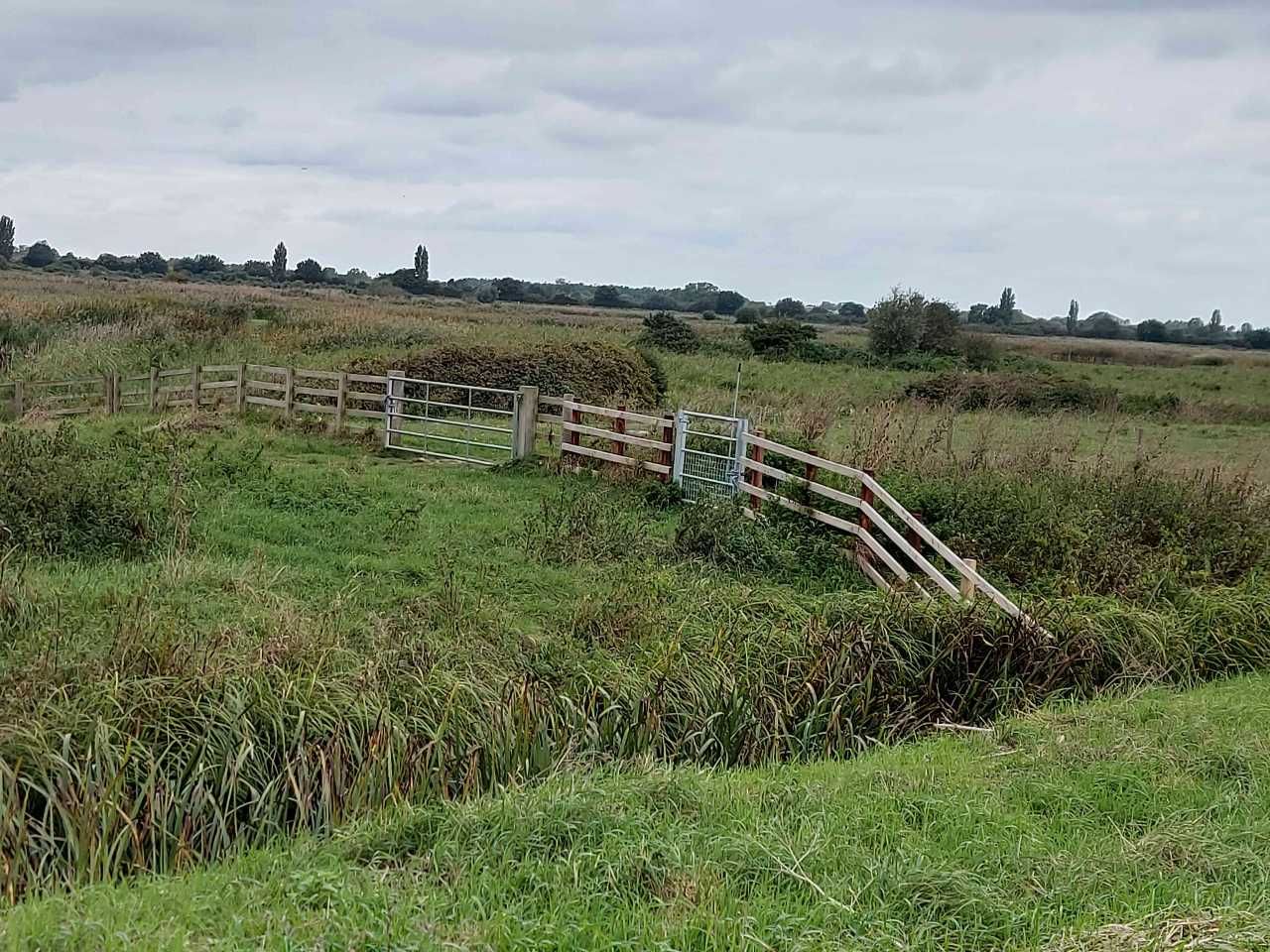 Earith Bridge and Ouse Fen Nature Reserve - Ramblers
