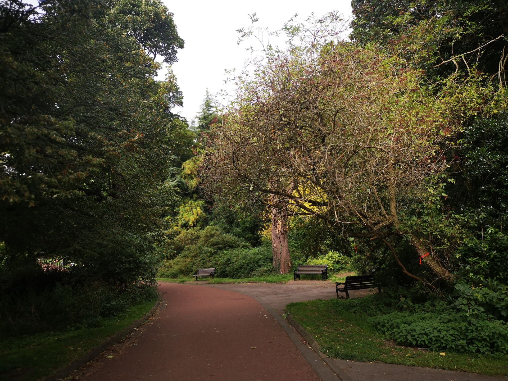 Heaton Park Walk