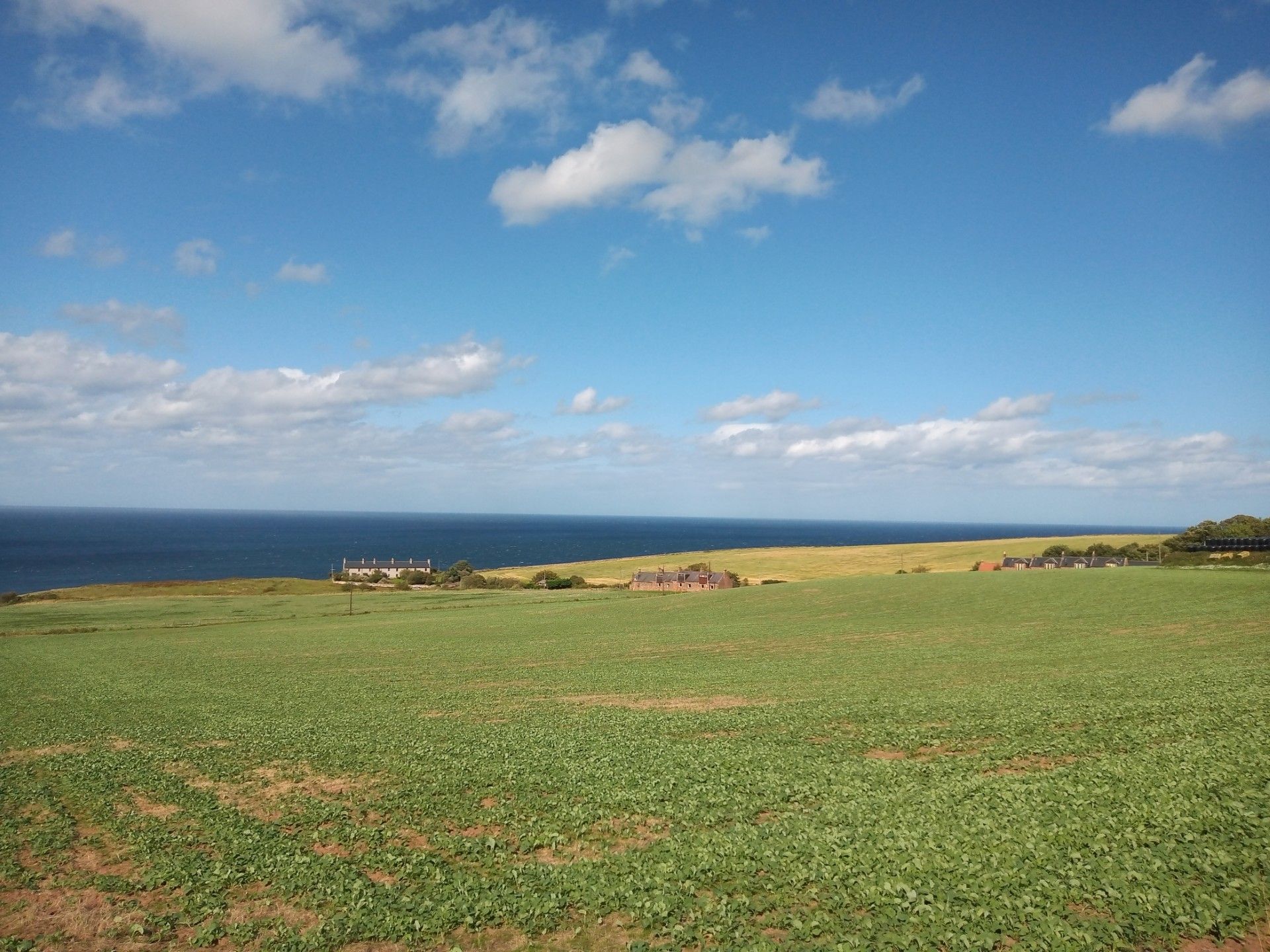Berwickshire Coast Path: Cockburnspath to Dowlaw - Ramblers