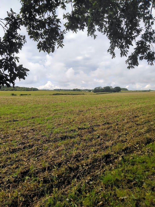Circular walk from Rowlands Castle - Ramblers