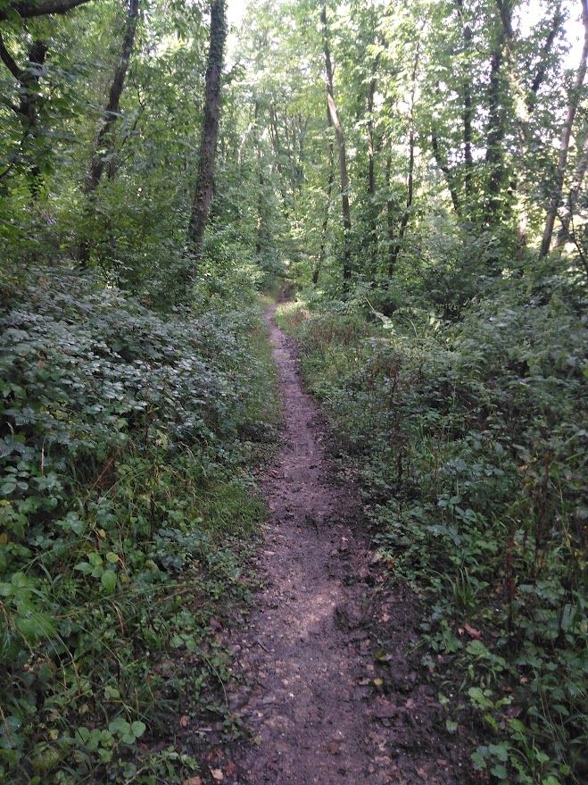 Circular walk from Rowlands Castle - Ramblers
