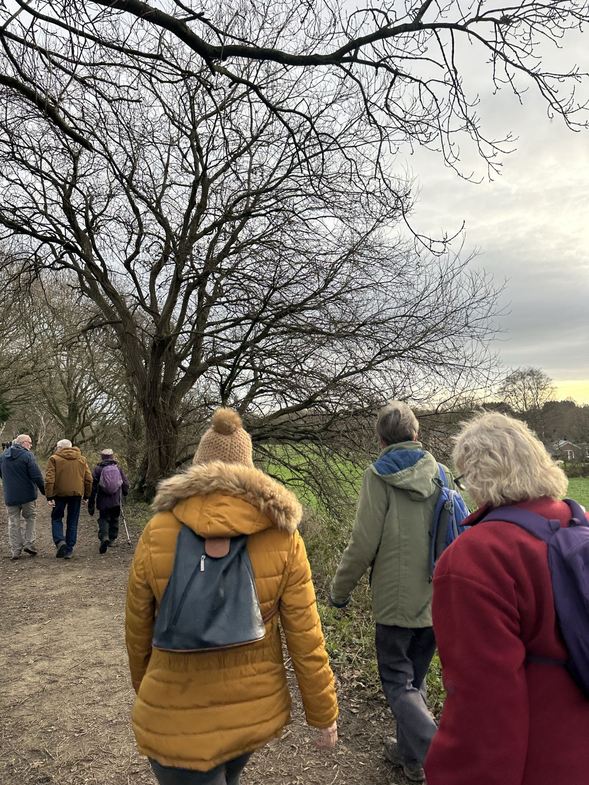 Whitegate Way Walk