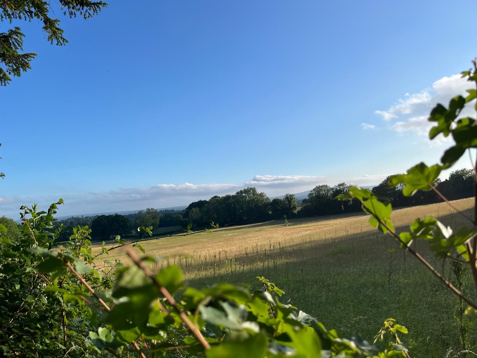 Reigate Heath and the base of the Downs! - Ramblers