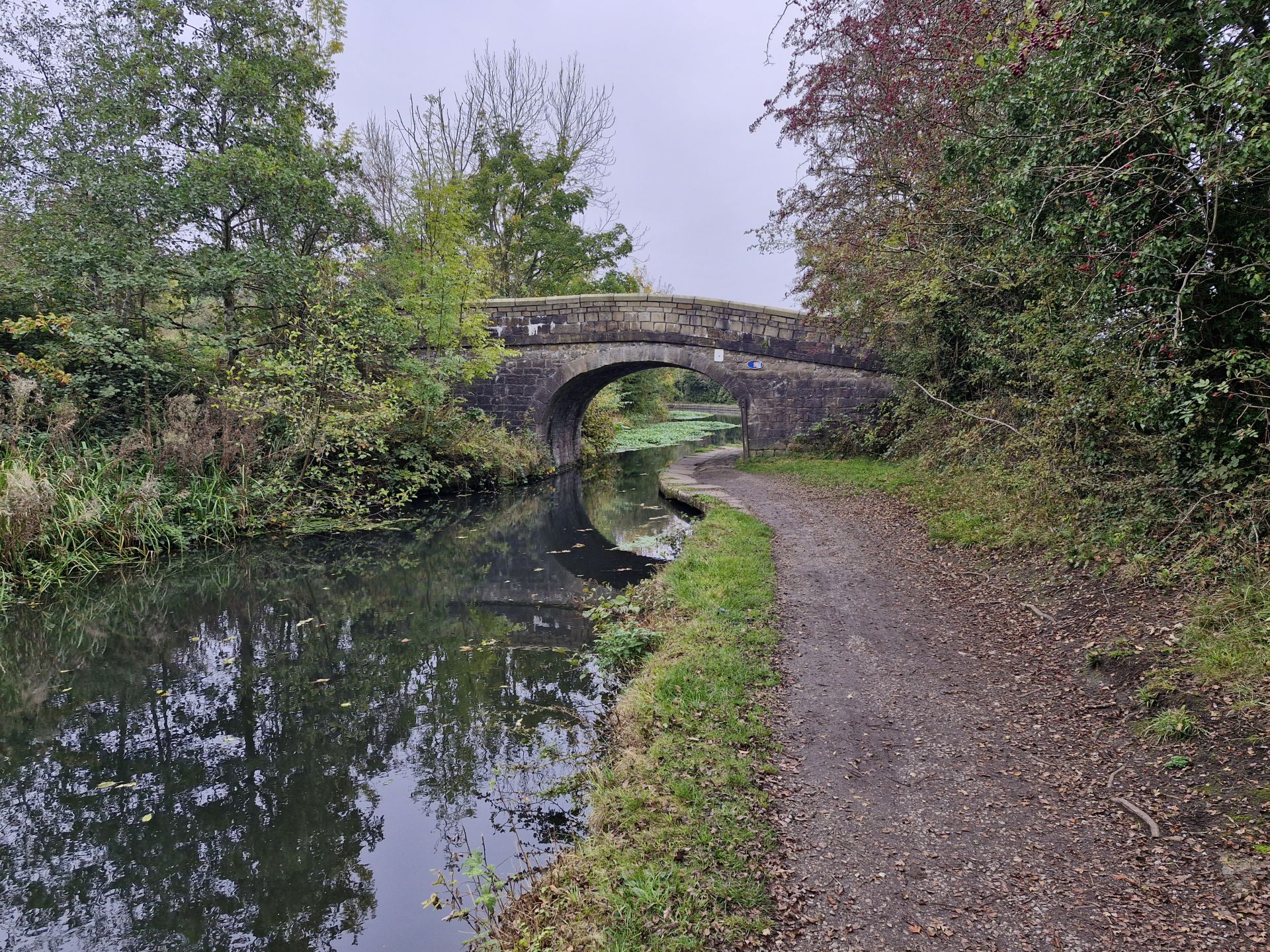 Werneth Low and Peak Forest Canal (Romiley Circular) - Ramblers
