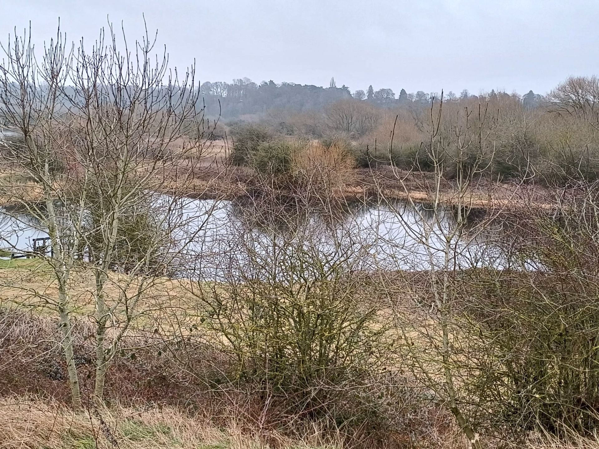 MONTHLY STROLL - Netherfield Lagoons + Murmurations - Ramblers