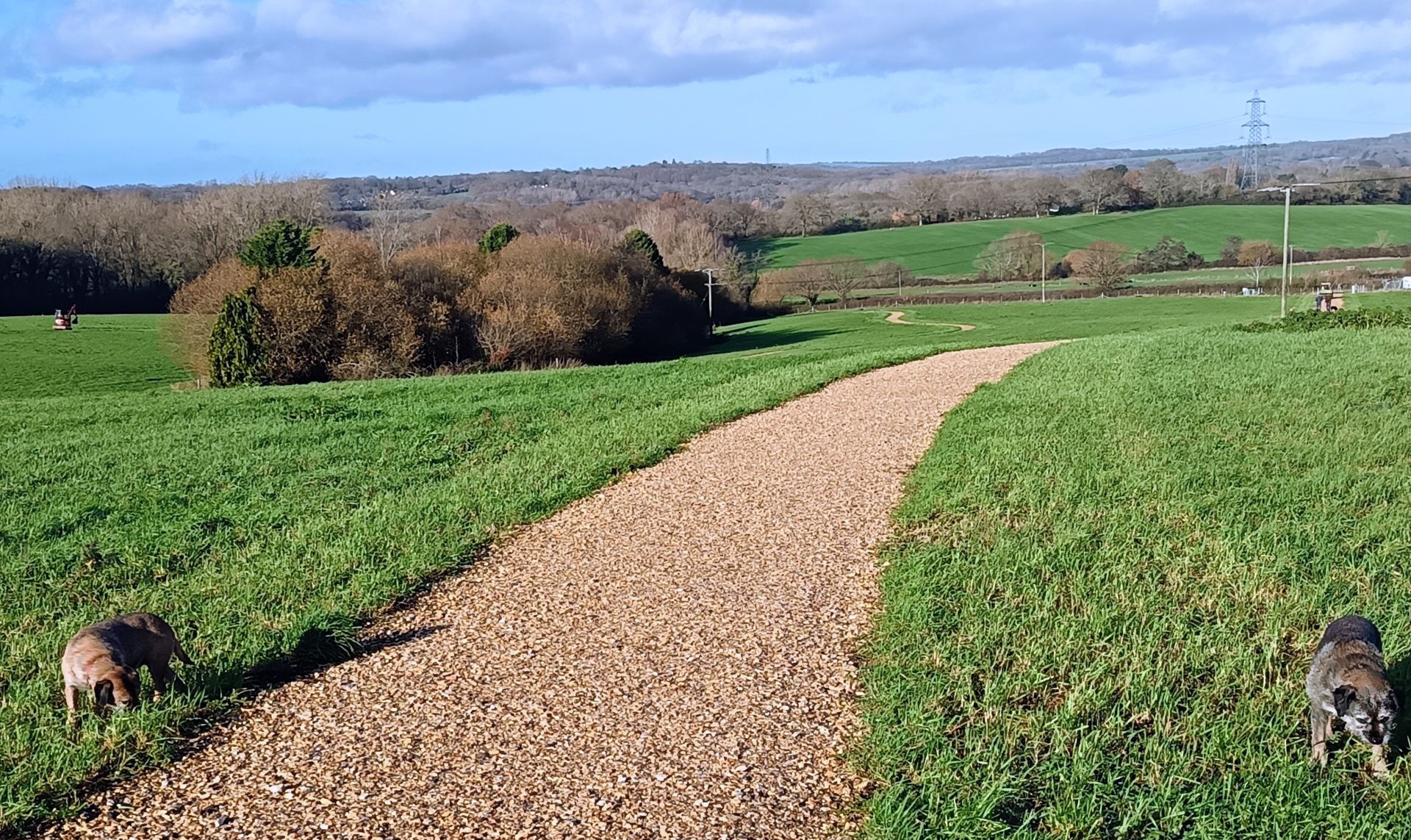 Bishopstoke Circular via Stoke Park Common Brambridge and River Itchen ...