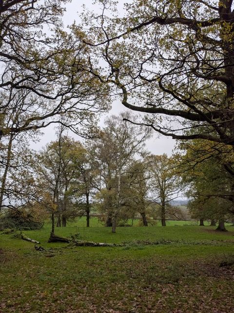 Holme Lacy - Ramblers