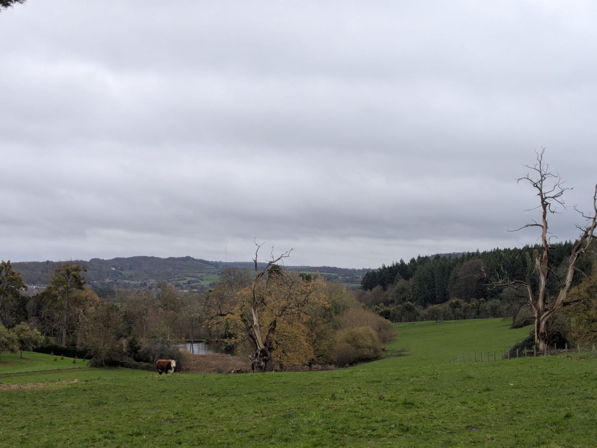 Holme Lacy - Ramblers