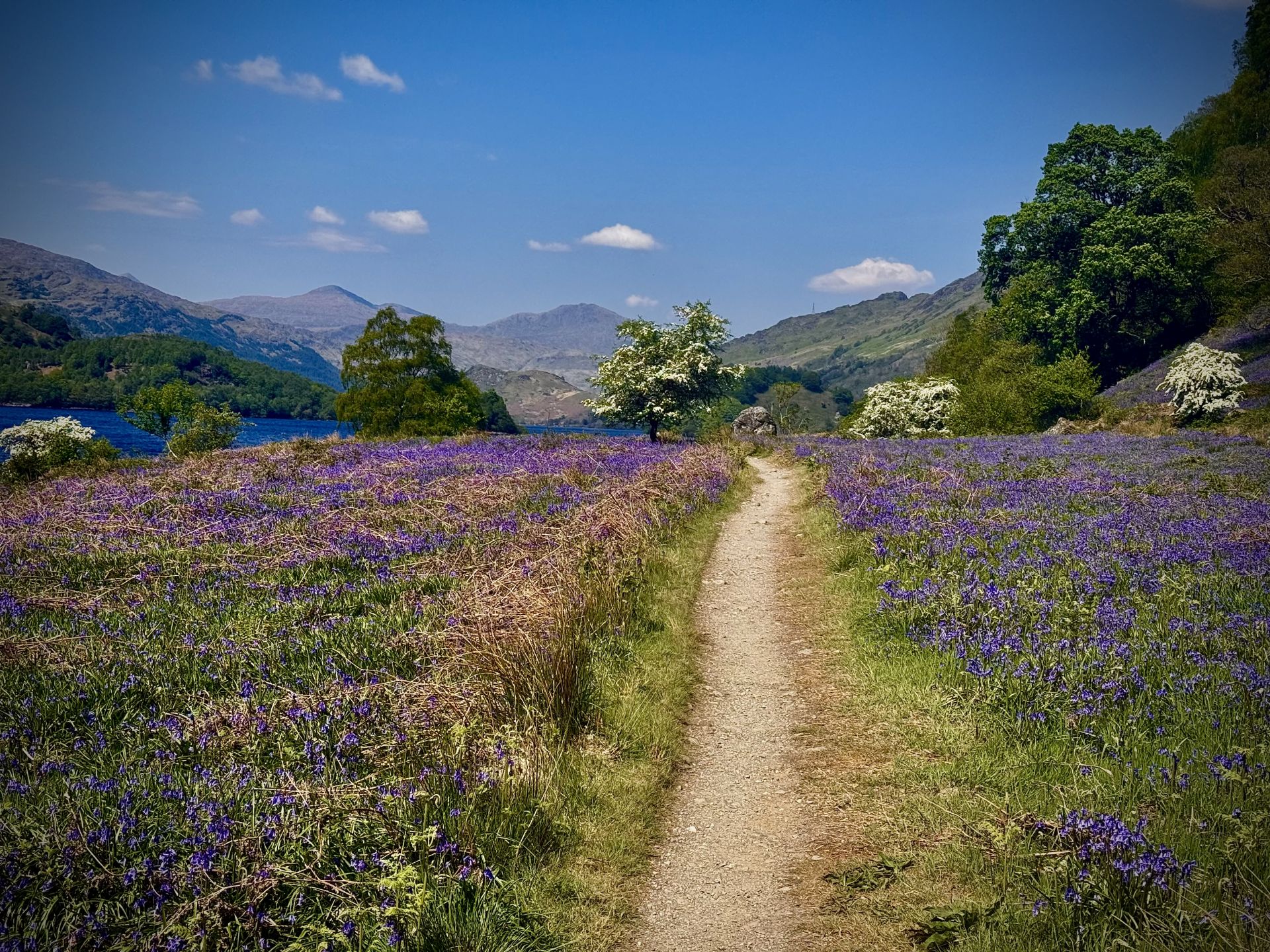 Britain's Favourite Path - Ramblers