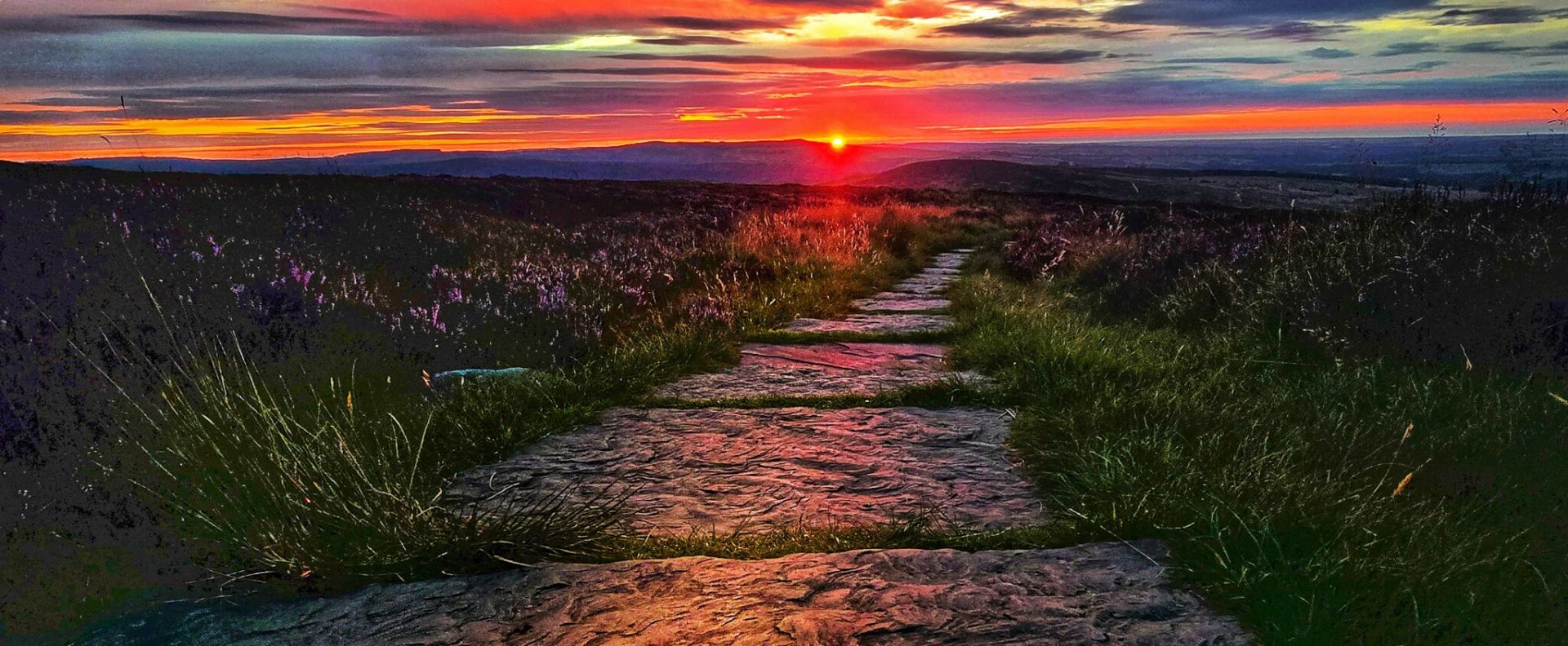 The Ramblers: Britain’s walking charity