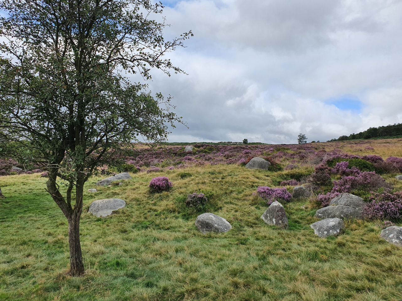 Walks Programme - Chesterfield Ramblers