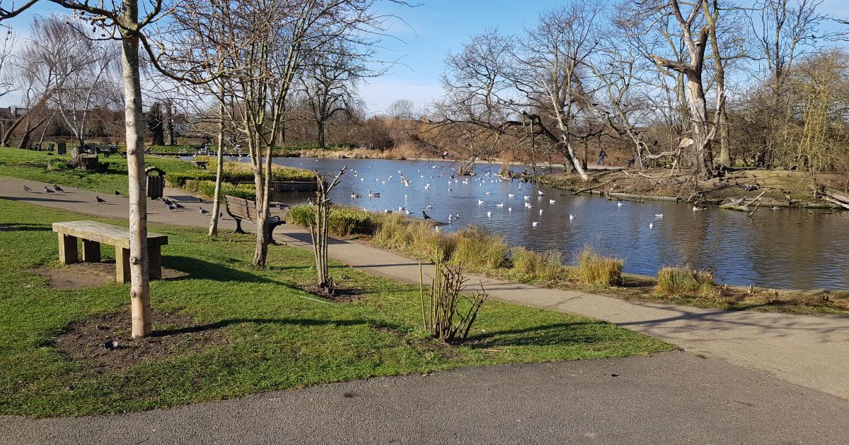 Lordship Rec Walk - N17 6NY - Walking from the gates in Downhills Park ...