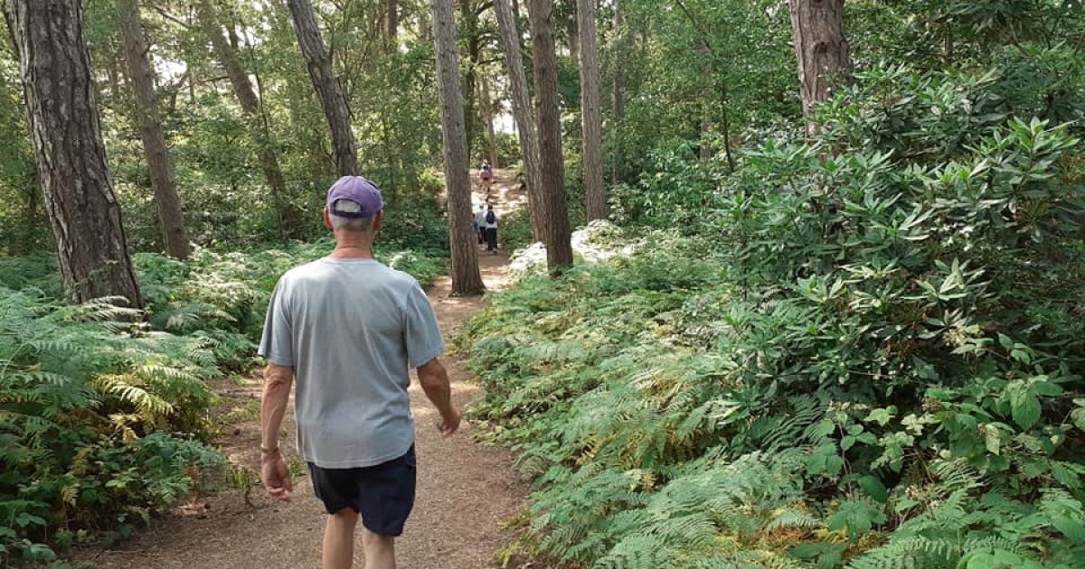 Royden Wellbeing Walk