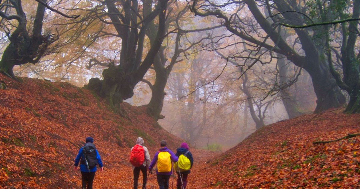 Cardiff Group - Ramblers