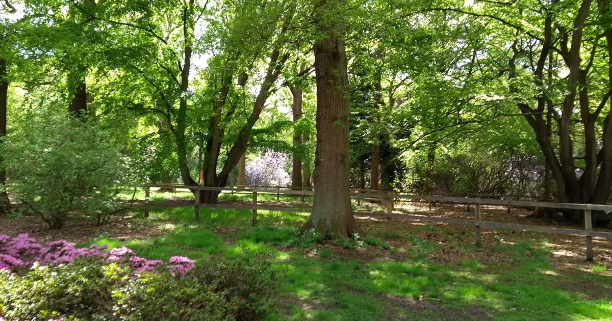 Longer Monday walk - second Monday of the month