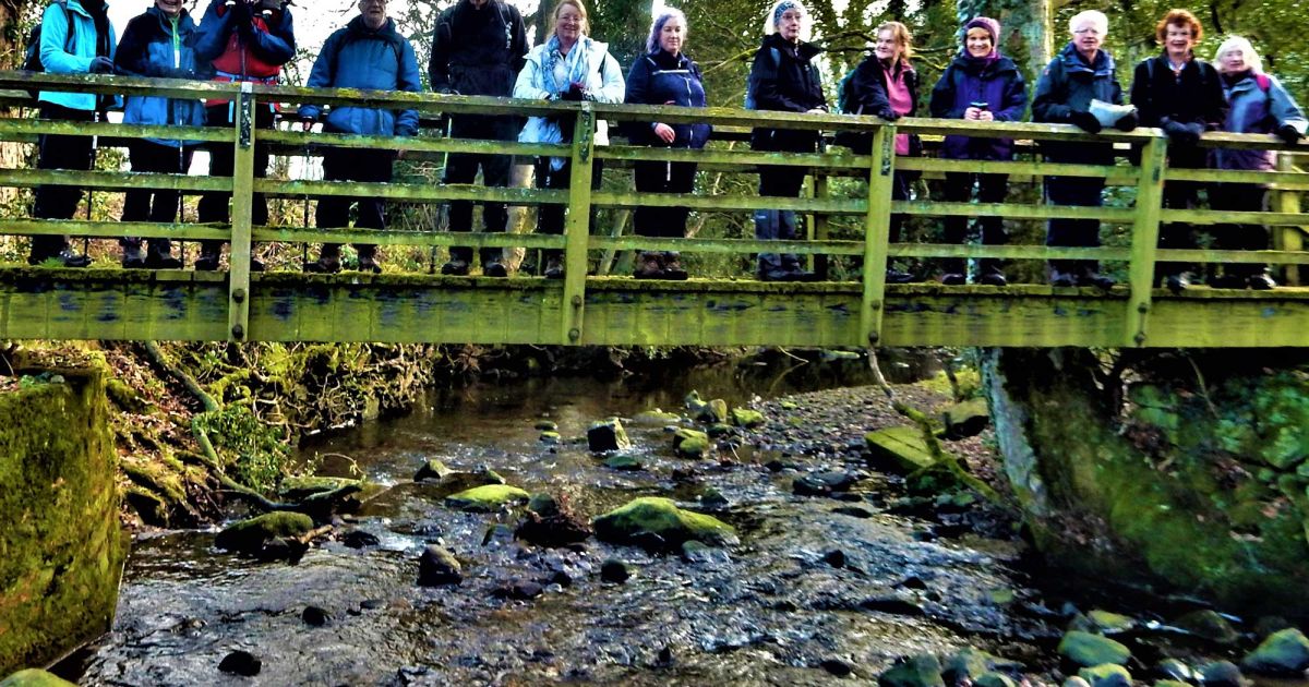 Derwentside Group - Ramblers