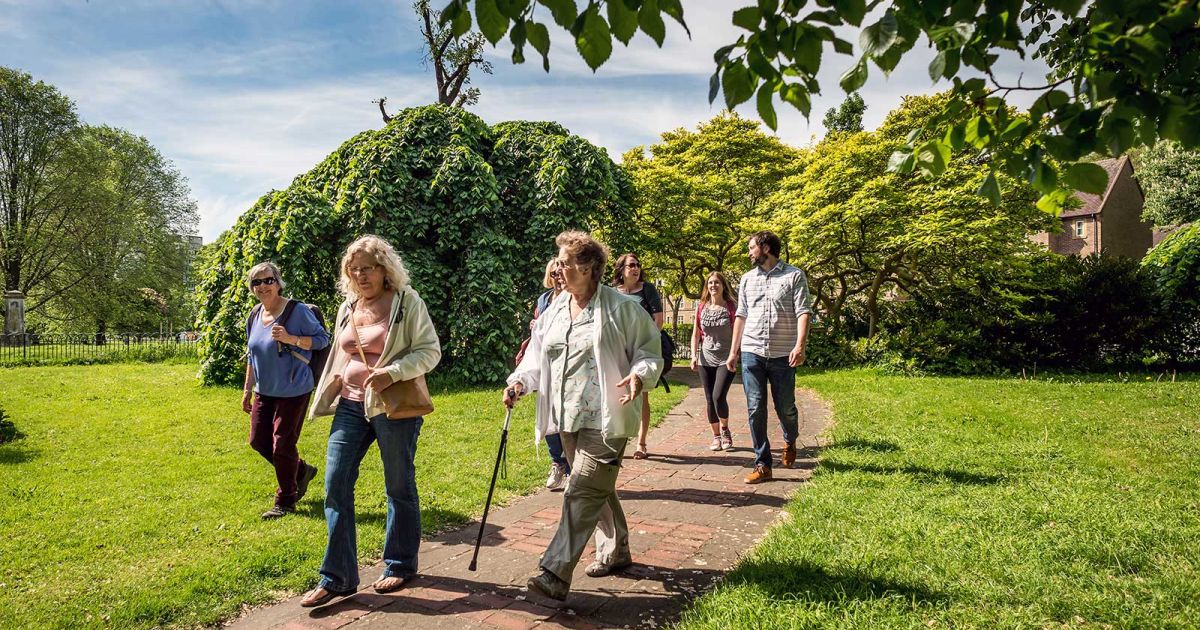 Hampstead Health Challenging Walk