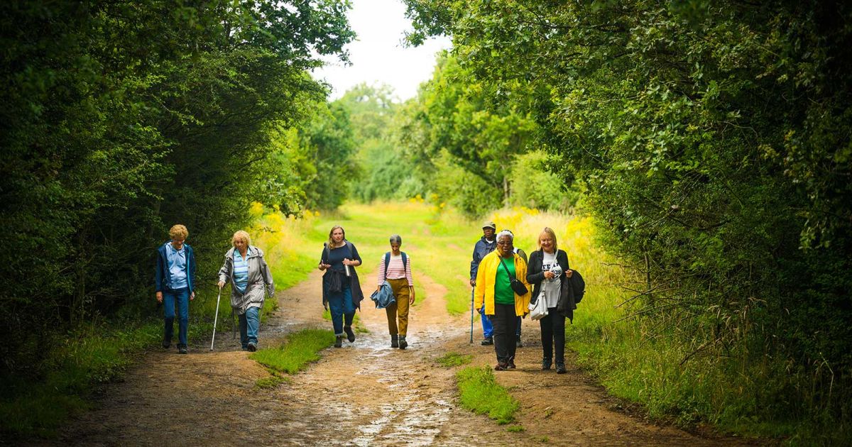 California Country Park Walk