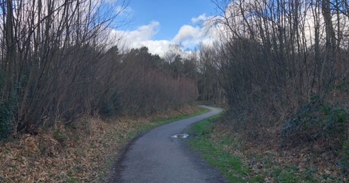 Angley Wood, Cranbrook - 10am