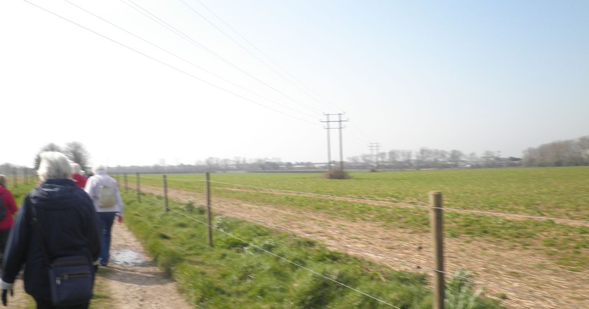 SOMPTING BROOKS FROM LOOSE LANE, SOMPTING