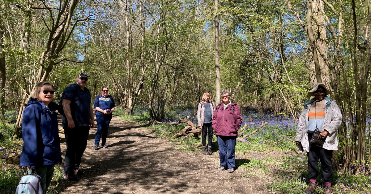 Felland Copse & Viewpoint Trail