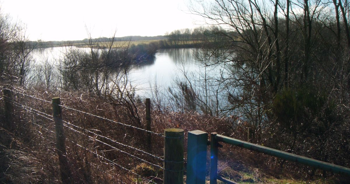 Ellerton Flat on Back