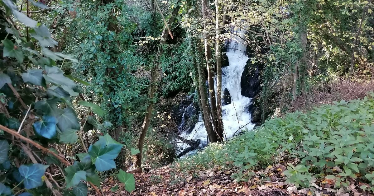Harmby Waterfall