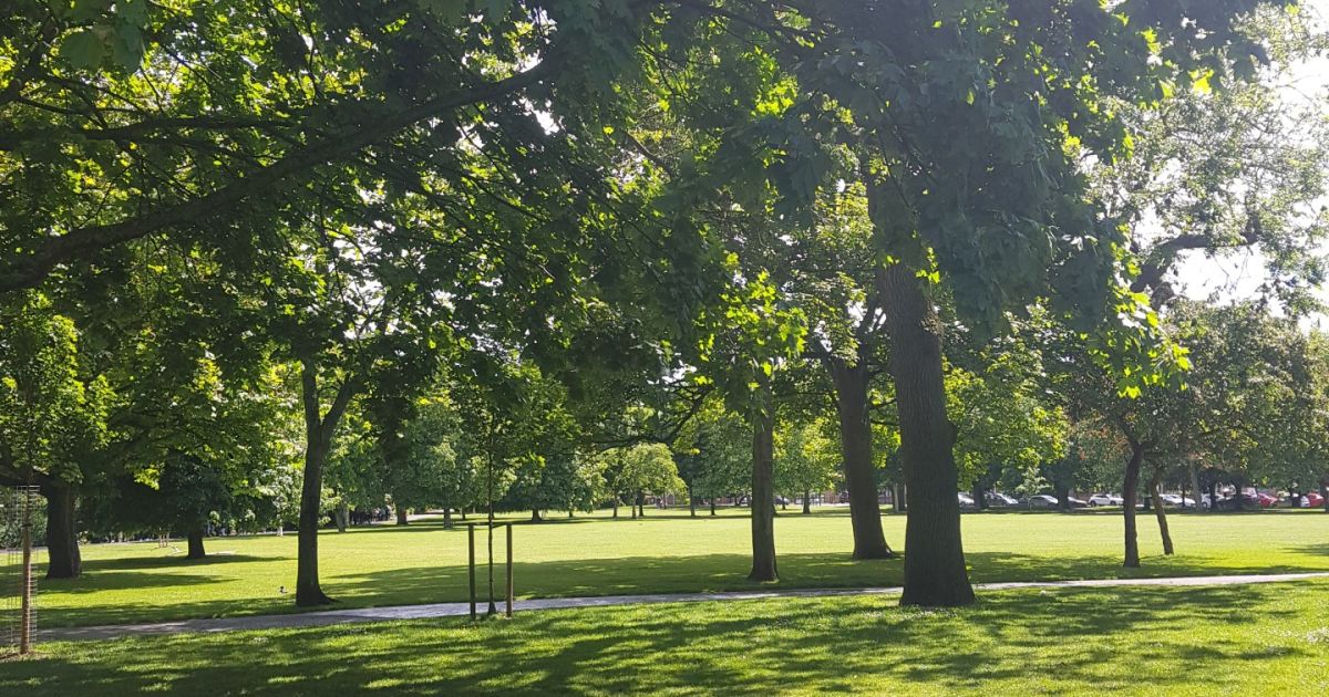 Park to Park Walk - Beginners