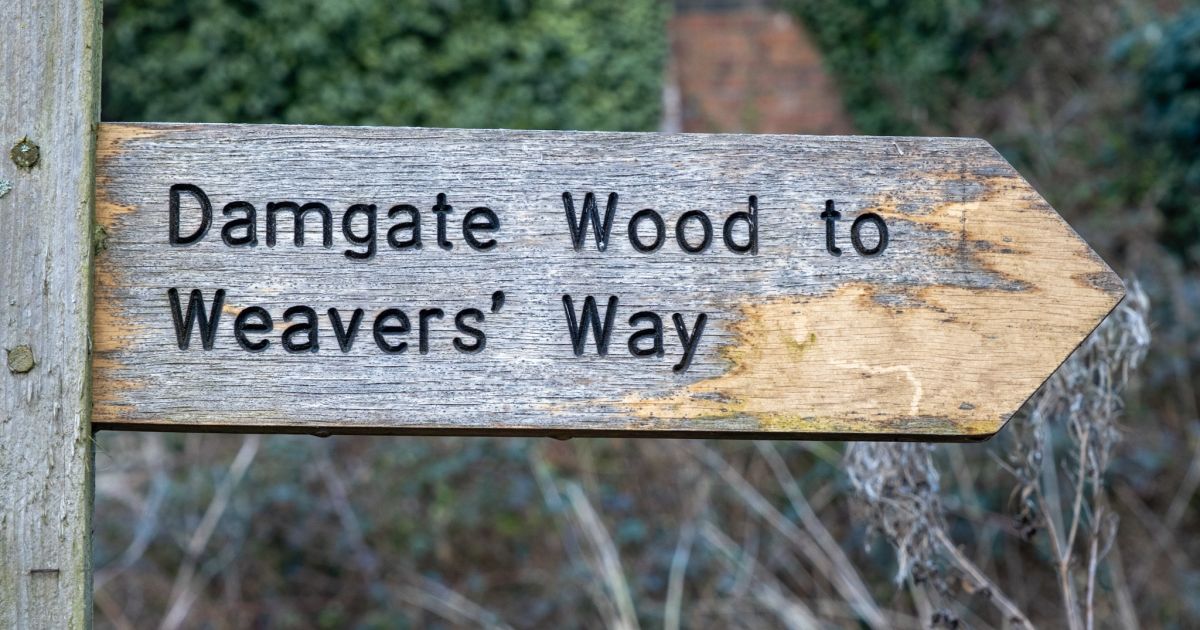 Acle - Damgate Woods and Lanes AC100