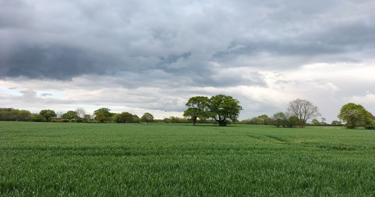 Wheldrake evening walk - Ramblers