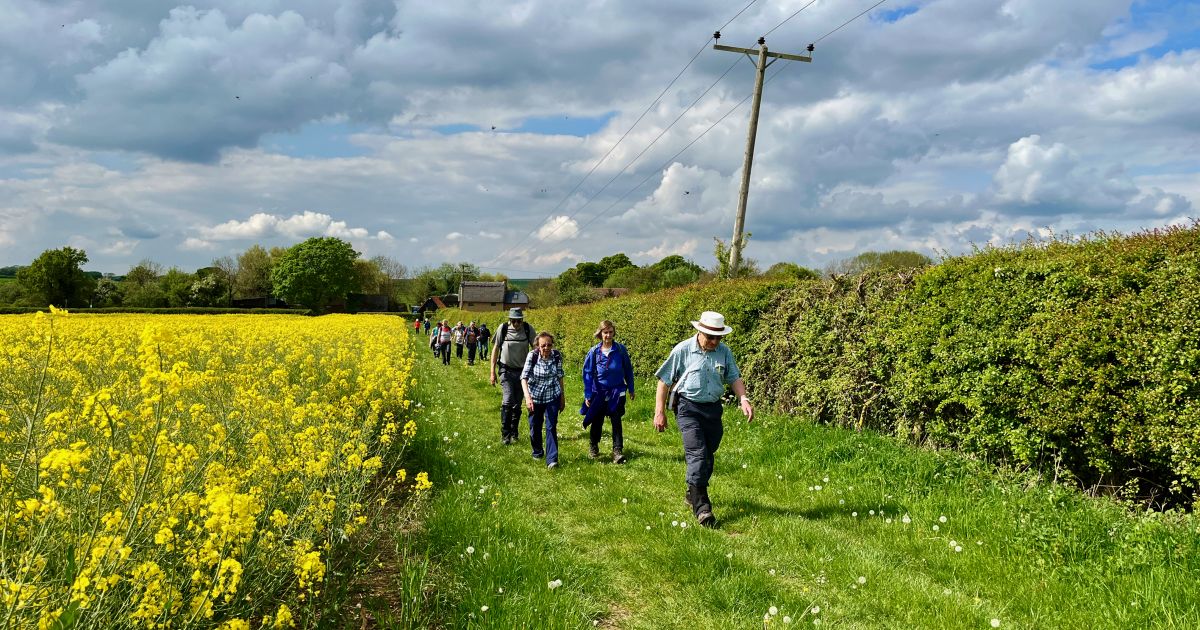 Riseley - Afternoon Walk - Ramblers