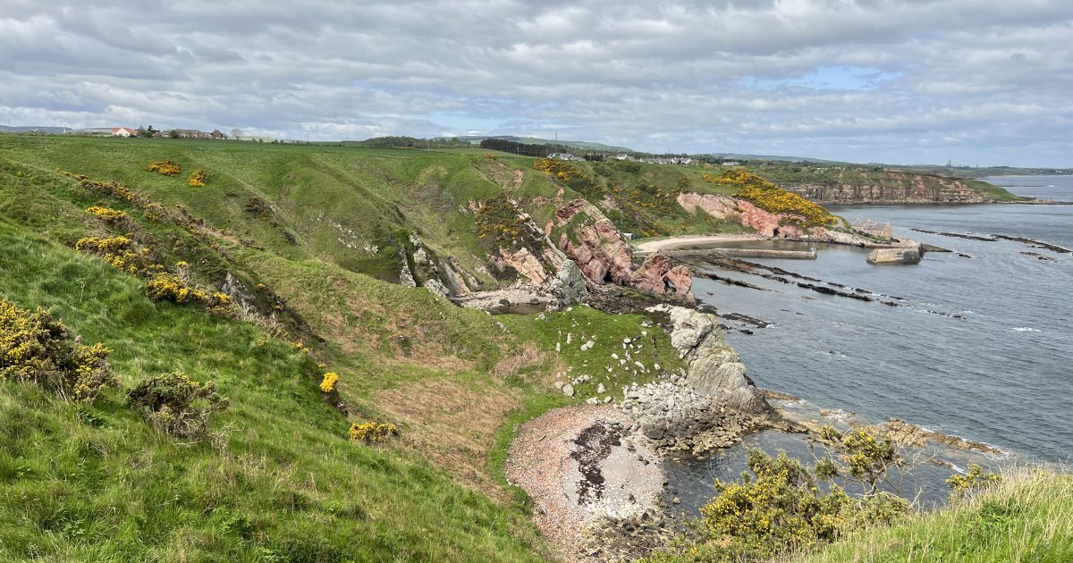 Cove and Cockburnspath Circular - Ramblers