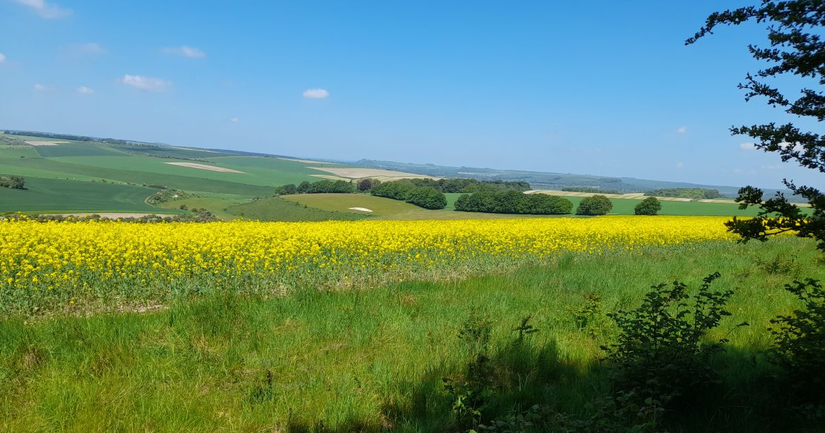 Short Imber Walk No. 4 Tilshead to Chitterne - Ramblers