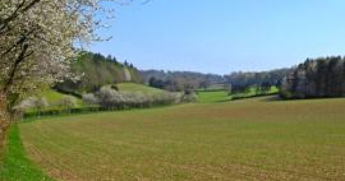 Chipperfield, Bucks Hill and Sarratt - Ramblers