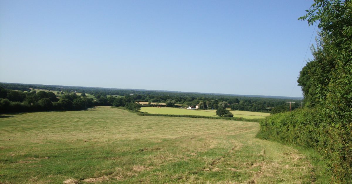Pluckley Walk - Ramblers