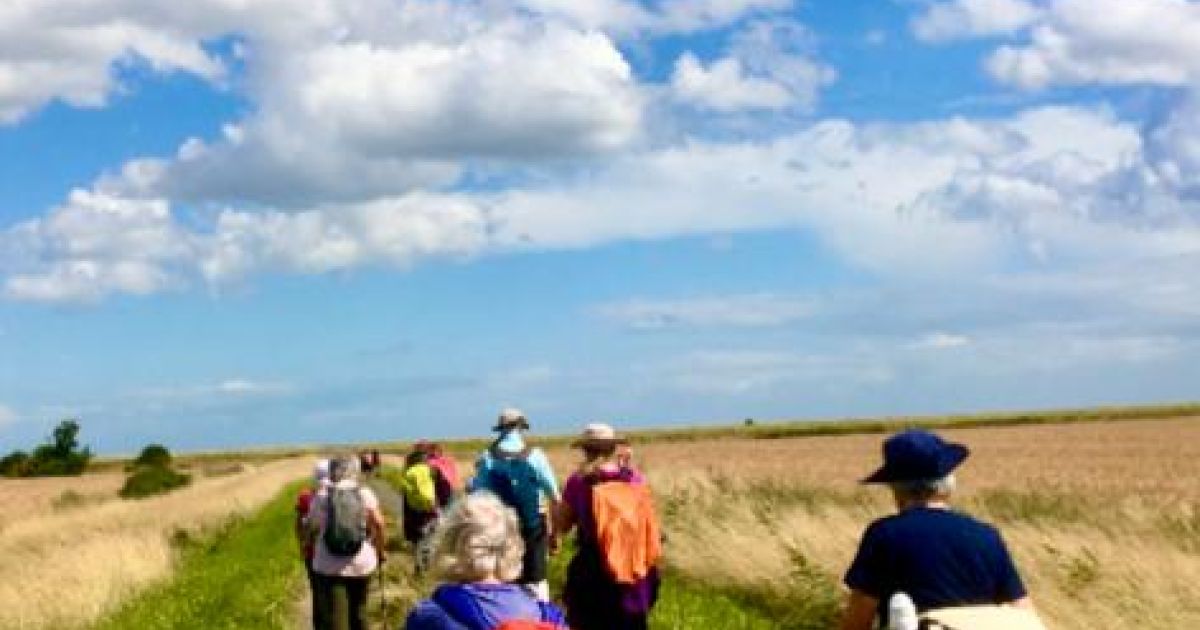 Felsted Brisk Walk - Ramblers