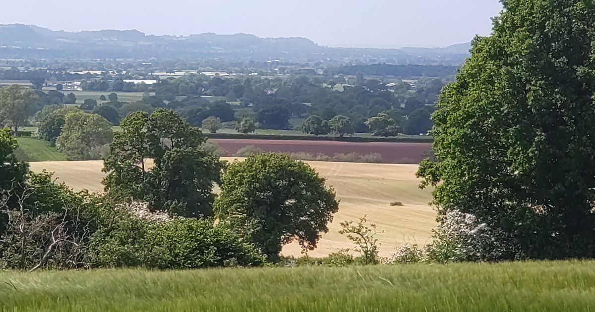 Primrose Wood and Utkinton - Ramblers