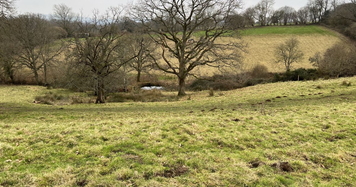 East Meon Exit - Ramblers