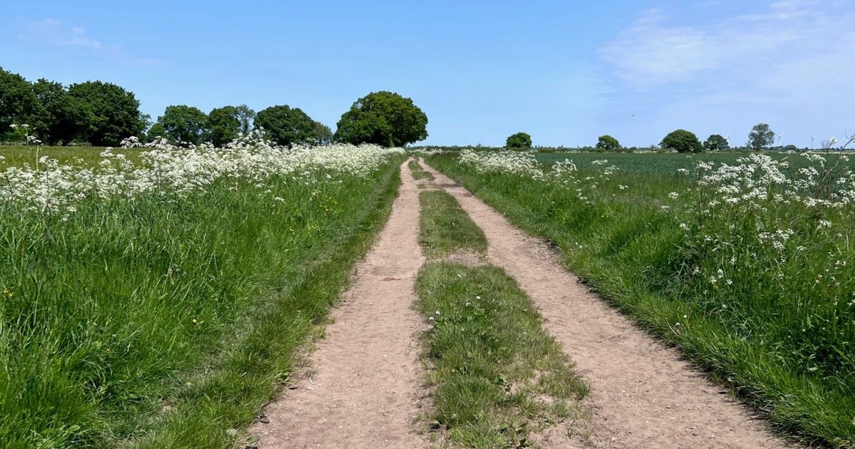Hatfield Woodhouse Walkers - Margaret's walk