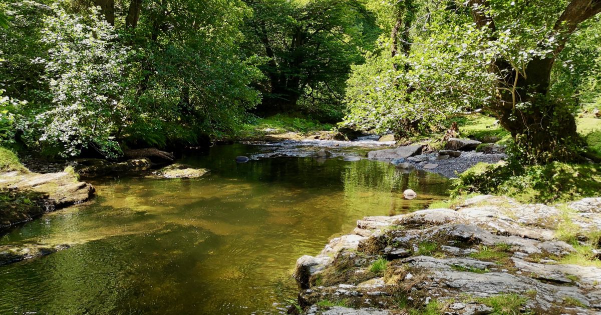 Plym and Pipe Track family walk - Ramblers